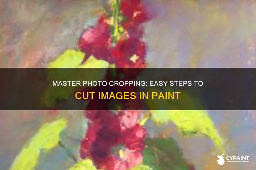 Master Photo Cropping: Easy Steps To Cut Images In Paint | CyPaint