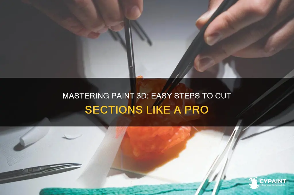 Mastering Paint 3D: Easy Steps To Cut Sections Like A Pro | CyPaint