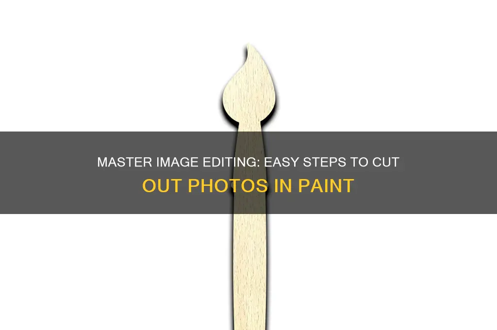 Master Image Editing: Easy Steps To Cut Out Photos In Paint | CyPaint