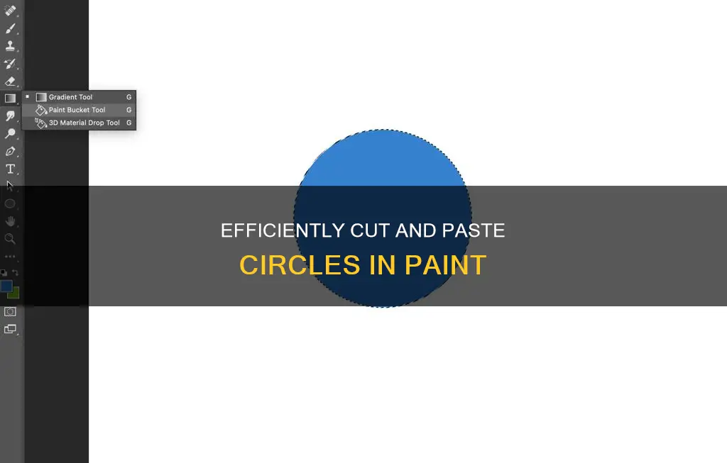 Efficiently Cut And Paste Circles In Paint | CyPaint