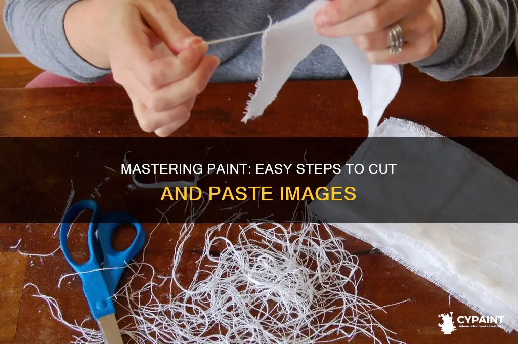 Mastering Paint: Easy Steps To Cut And Paste Images | CyPaint