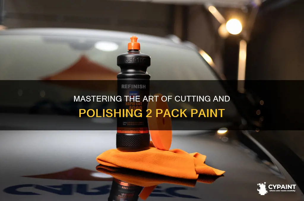Mastering The Art Of Cutting And Polishing 2 Pack Paint | CyPaint