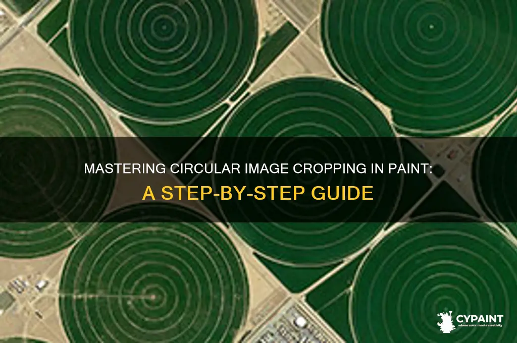 Mastering Circular Image Cropping In Paint: A Step-By-Step Guide | CyPaint