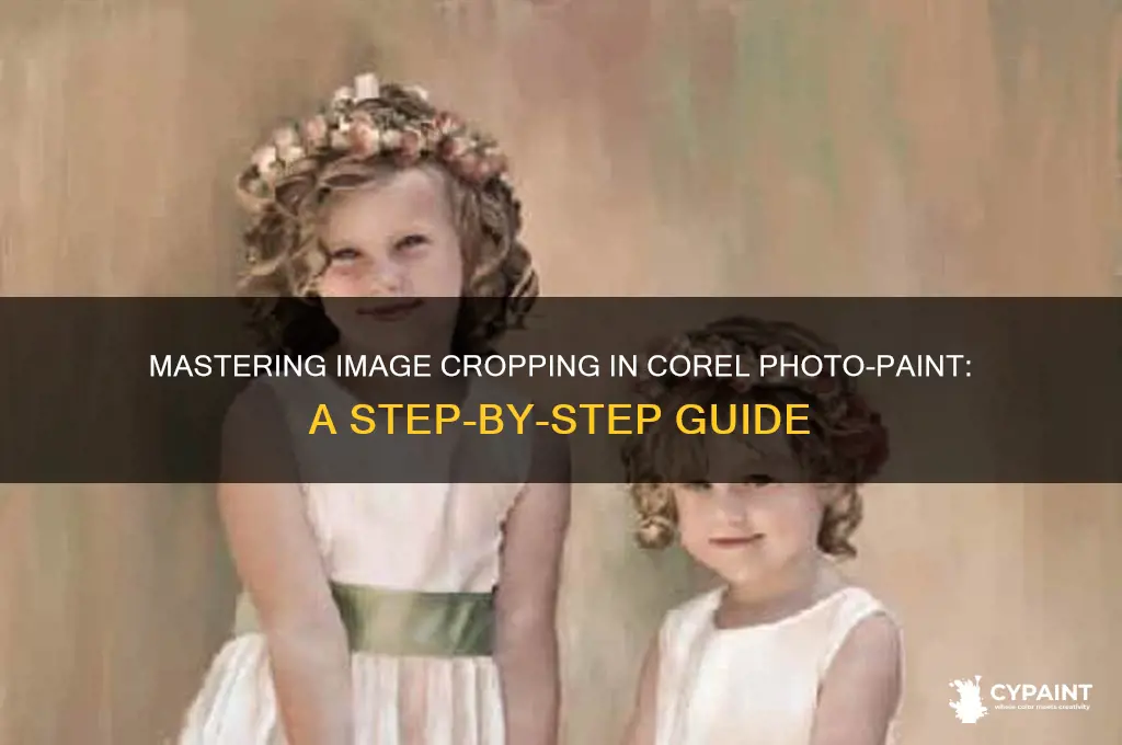 Mastering Image Cropping In Corel Photo-Paint: A Step-By-Step Guide ...