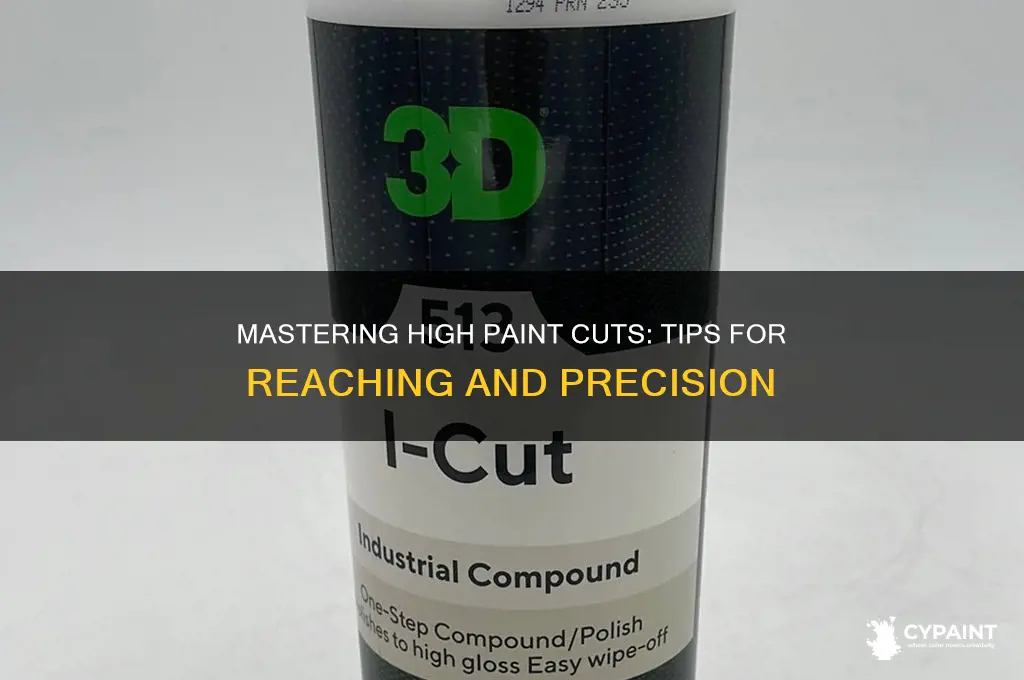 Mastering High Paint Cuts: Tips For Reaching And Precision | CyPaint