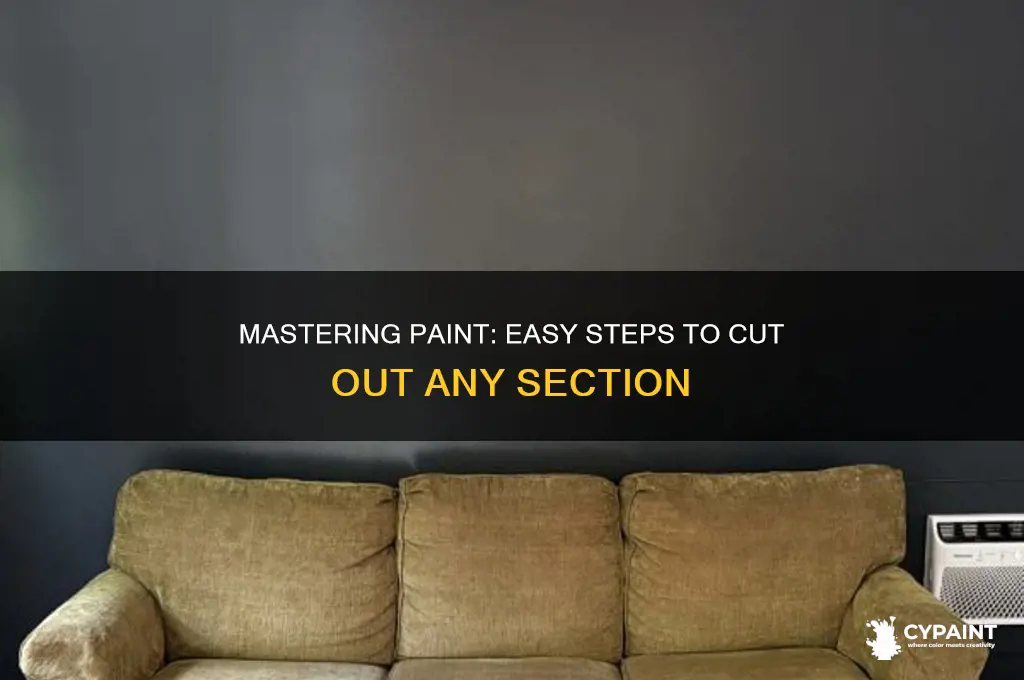 Mastering Paint: Easy Steps To Cut Out Any Section | CyPaint