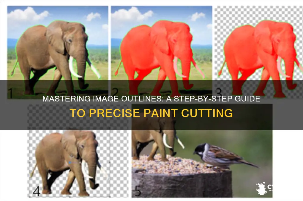 Mastering Image Outlines: A Step-By-Step Guide To Precise Paint Cutting ...