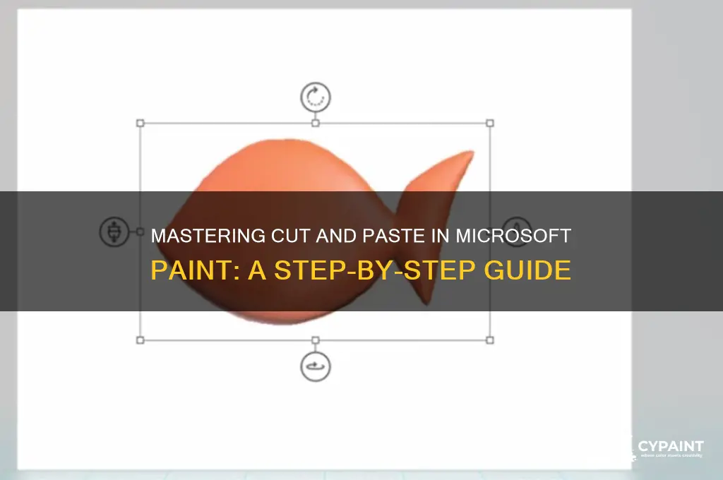 Mastering Cut And Paste In Microsoft Paint: A Step-By-Step Guide | CyPaint