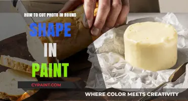 Custom Shapes: Cutting Out Precise Designs In Paint | CyPaint
