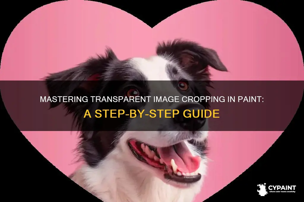 Mastering Transparent Image Cropping In Paint: A Step-By-Step Guide ...