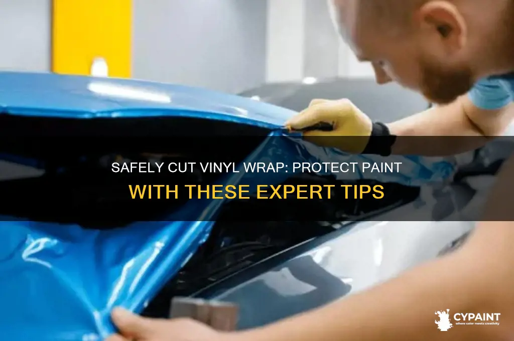 Safely Cut Vinyl Wrap: Protect Paint With These Expert Tips | CyPaint