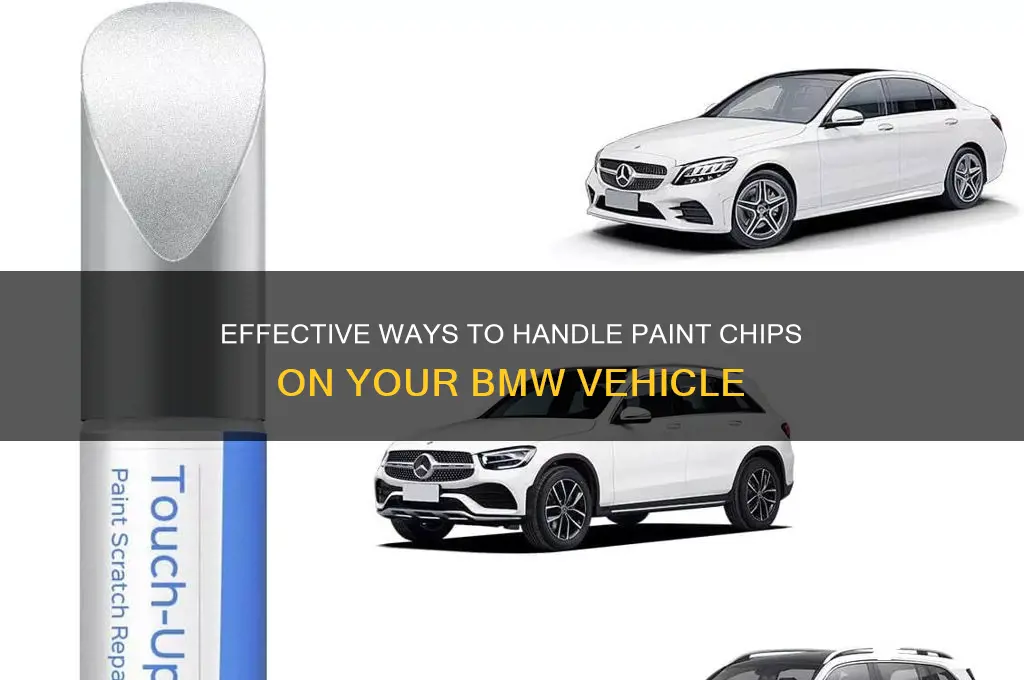 Effective Ways To Handle Paint Chips On Your Bmw Vehicle | CyPaint