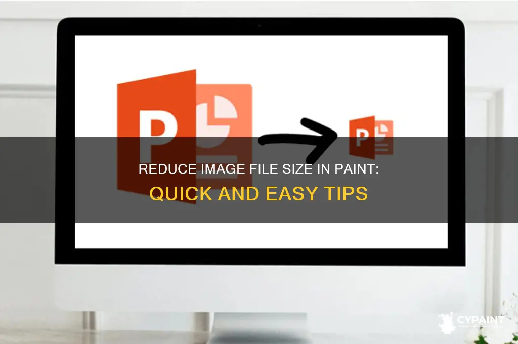 Reduce Image File Size In Paint: Quick And Easy Tips | CyPaint