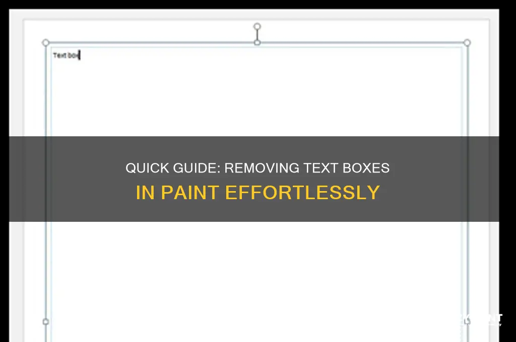 Quick Guide: Removing Text Boxes In Paint Effortlessly | CyPaint