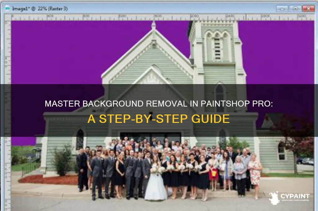 Master Background Removal In Paintshop Pro: A Step-By-Step Guide | CyPaint