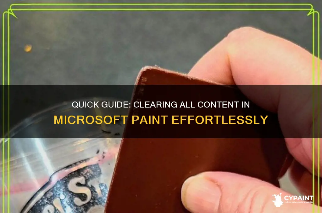 Quick Guide: Clearing All Content In Microsoft Paint Effortlessly | CyPaint