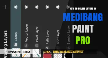 Efficiently Remove Layers In Medibang Paint Pro: A Quick Guide | CyPaint