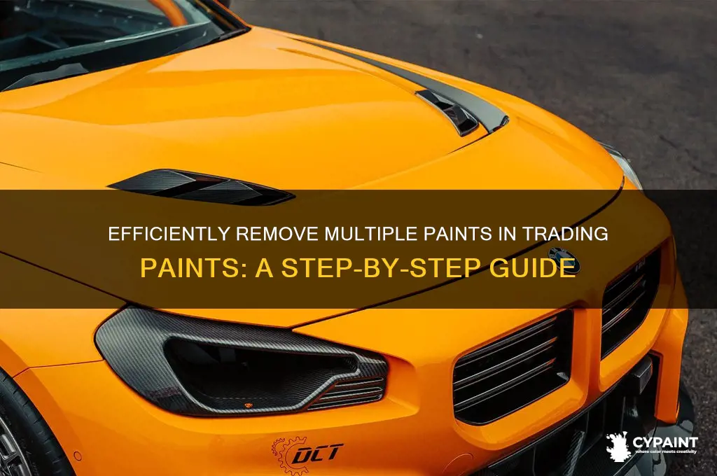 Efficiently Remove Multiple Paints In Trading Paints: A Step-By-Step ...