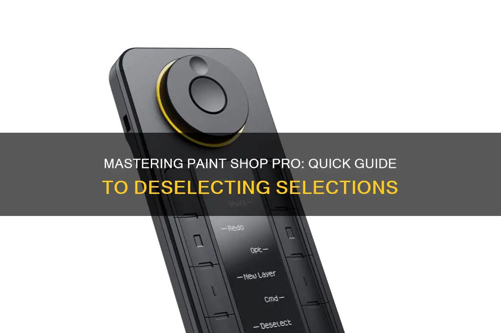 Mastering Paint Shop Pro: Quick Guide To Deselecting Selections | CyPaint