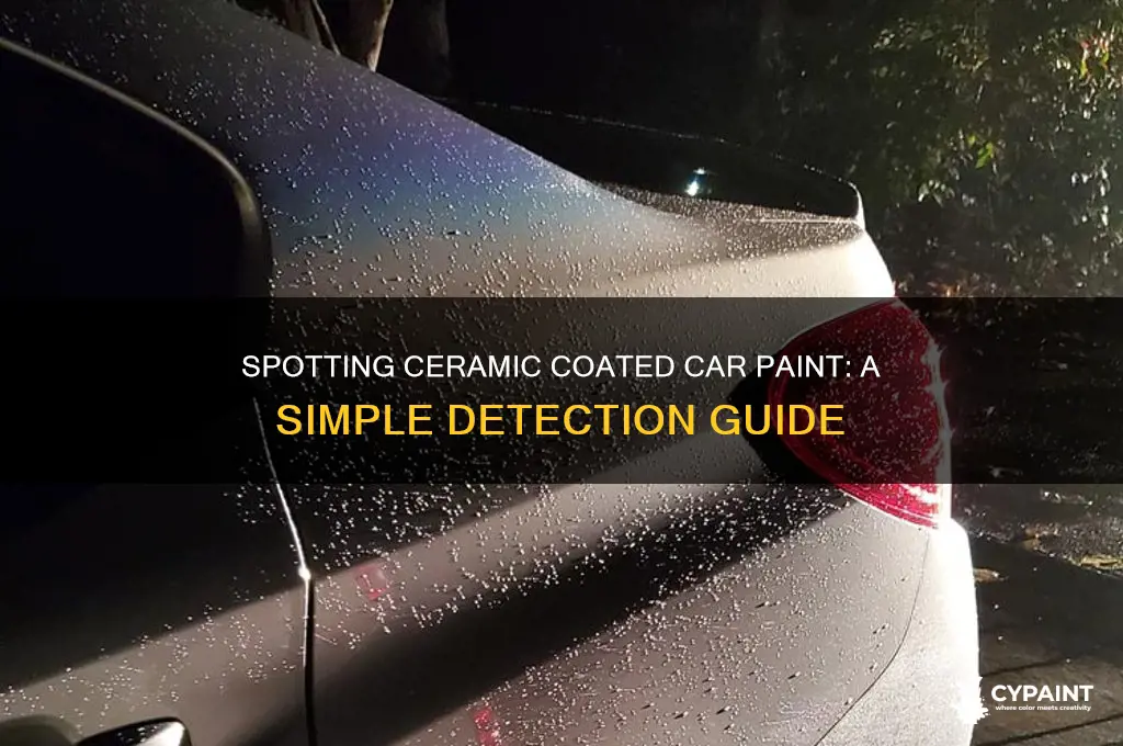 Spotting Ceramic Coated Car Paint: A Simple Detection Guide | CyPaint