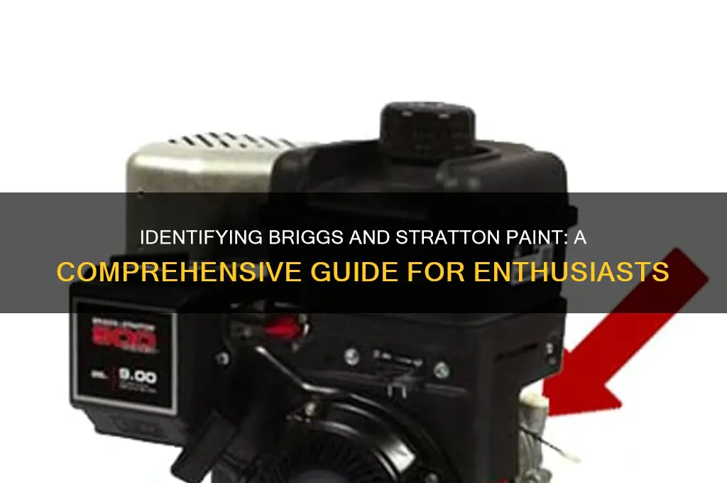 Identifying Briggs And Stratton Paint: A Comprehensive Guide For ...