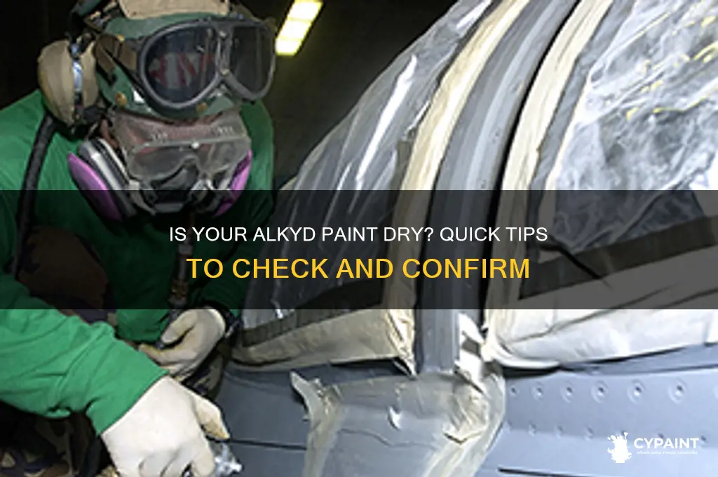 Is Your Alkyd Paint Dry? Quick Tips To Check And Confirm | CyPaint