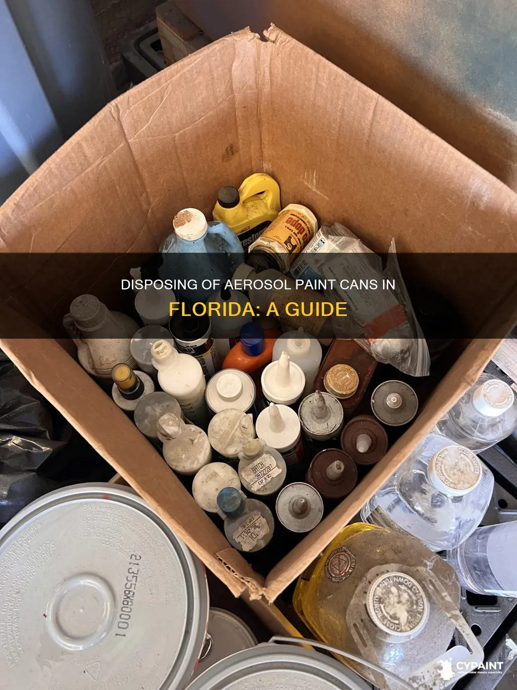 Disposing Of Aerosol Paint Cans In Florida: A Guide | CyPaint