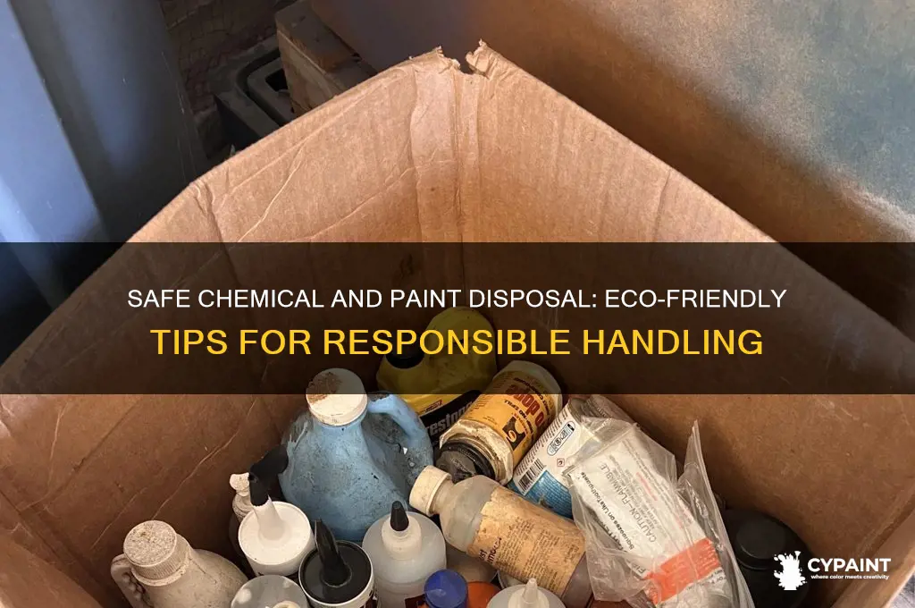 Safe Chemical And Paint Disposal: Eco-Friendly Tips For Responsible ...