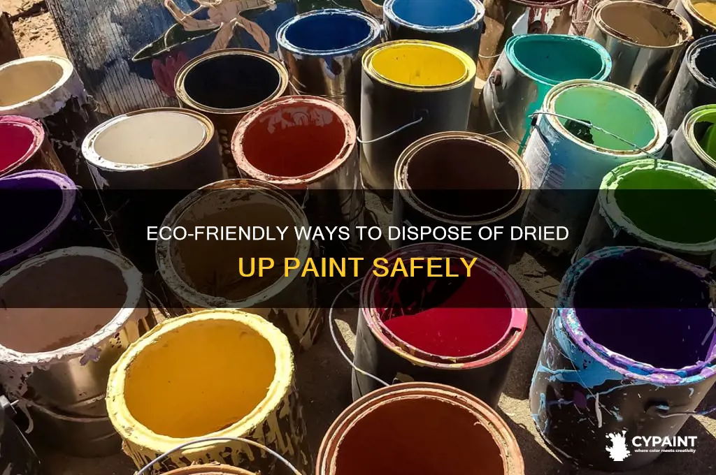 Eco-Friendly Ways To Dispose Of Dried Up Paint Safely | CyPaint