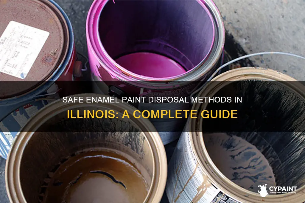 Safe Enamel Paint Disposal Methods In Illinois: A Complete Guide | CyPaint