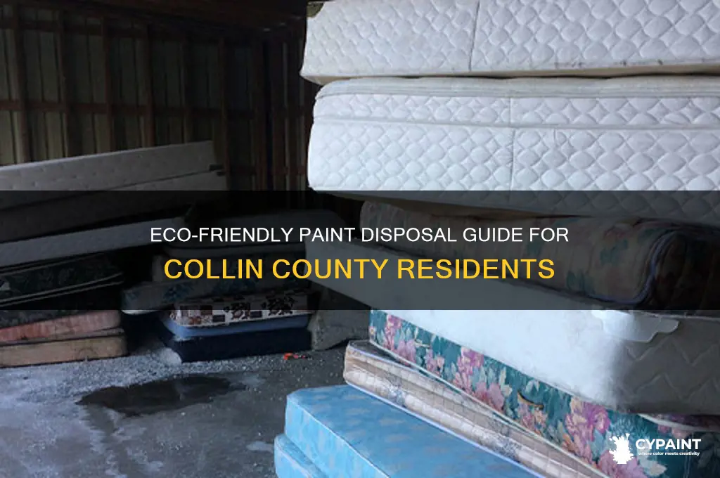 Eco-Friendly Paint Disposal Guide For Collin County Residents | CyPaint