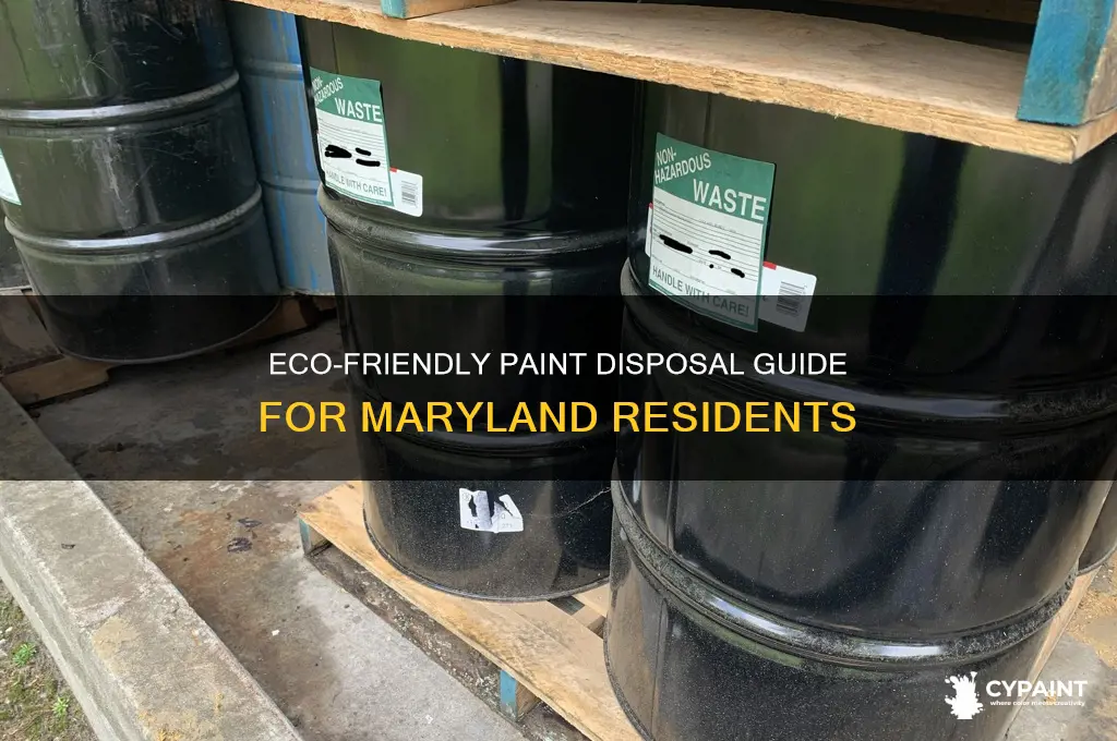 Eco-Friendly Paint Disposal Guide For Maryland Residents | CyPaint