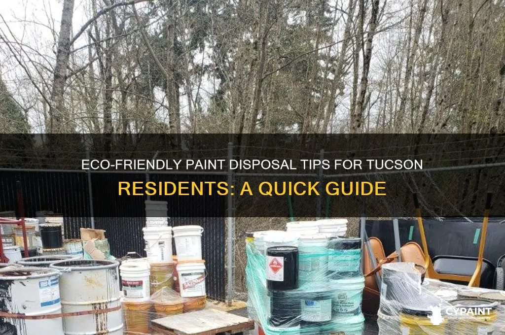 Eco-Friendly Paint Disposal Tips For Tucson Residents: A Quick Guide ...