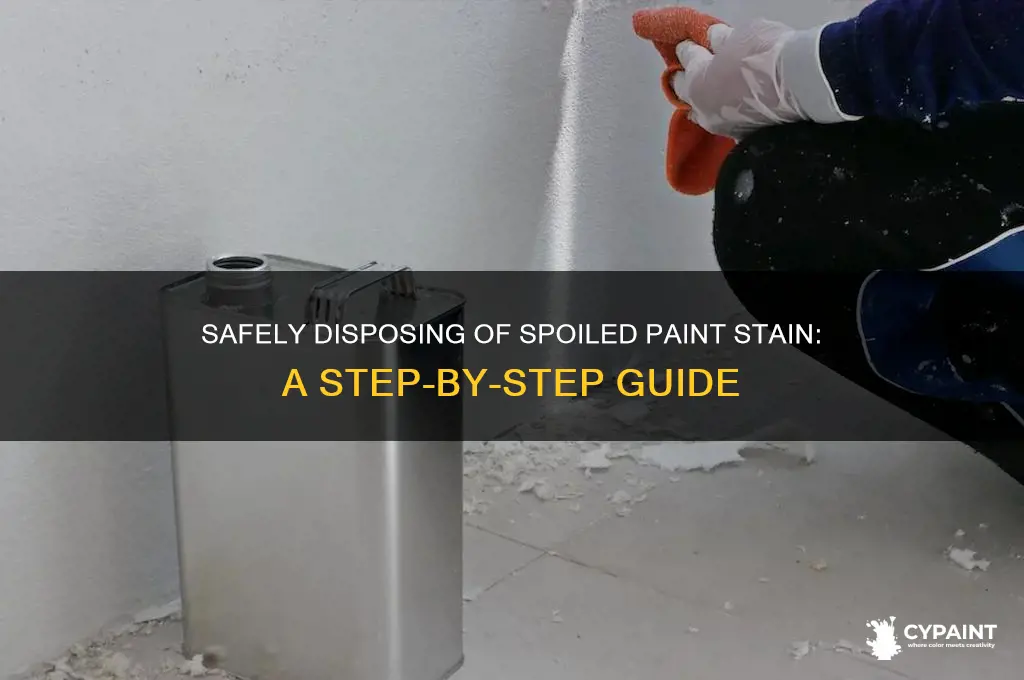 Safely Disposing Of Spoiled Paint Stain: A Step-By-Step Guide | CyPaint