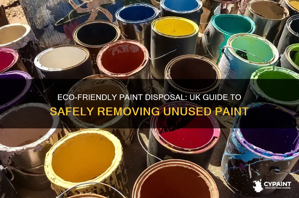Eco-Friendly Paint Disposal: Uk Guide To Safely Removing Unused Paint ...