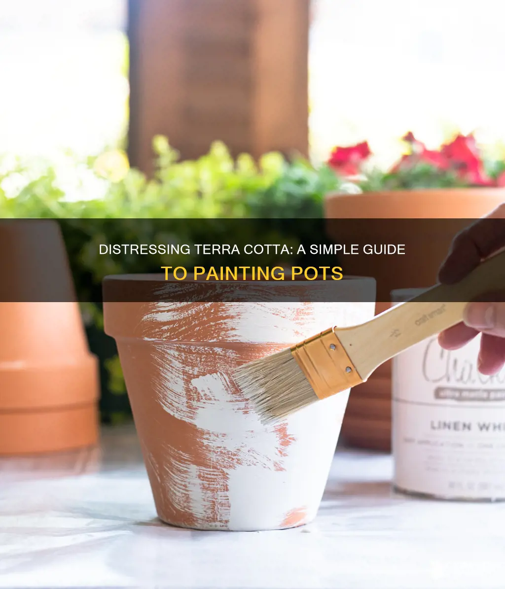 Distressing Terra Cotta: A Simple Guide To Painting Pots | CyPaint