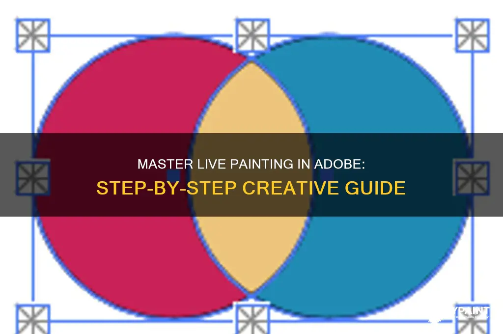 Master Live Painting In Adobe: Step-By-Step Creative Guide | CyPaint