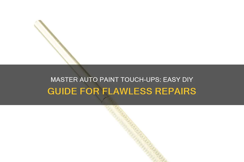 Master Auto Paint Touch-Ups: Easy Diy Guide For Flawless Repairs | CyPaint