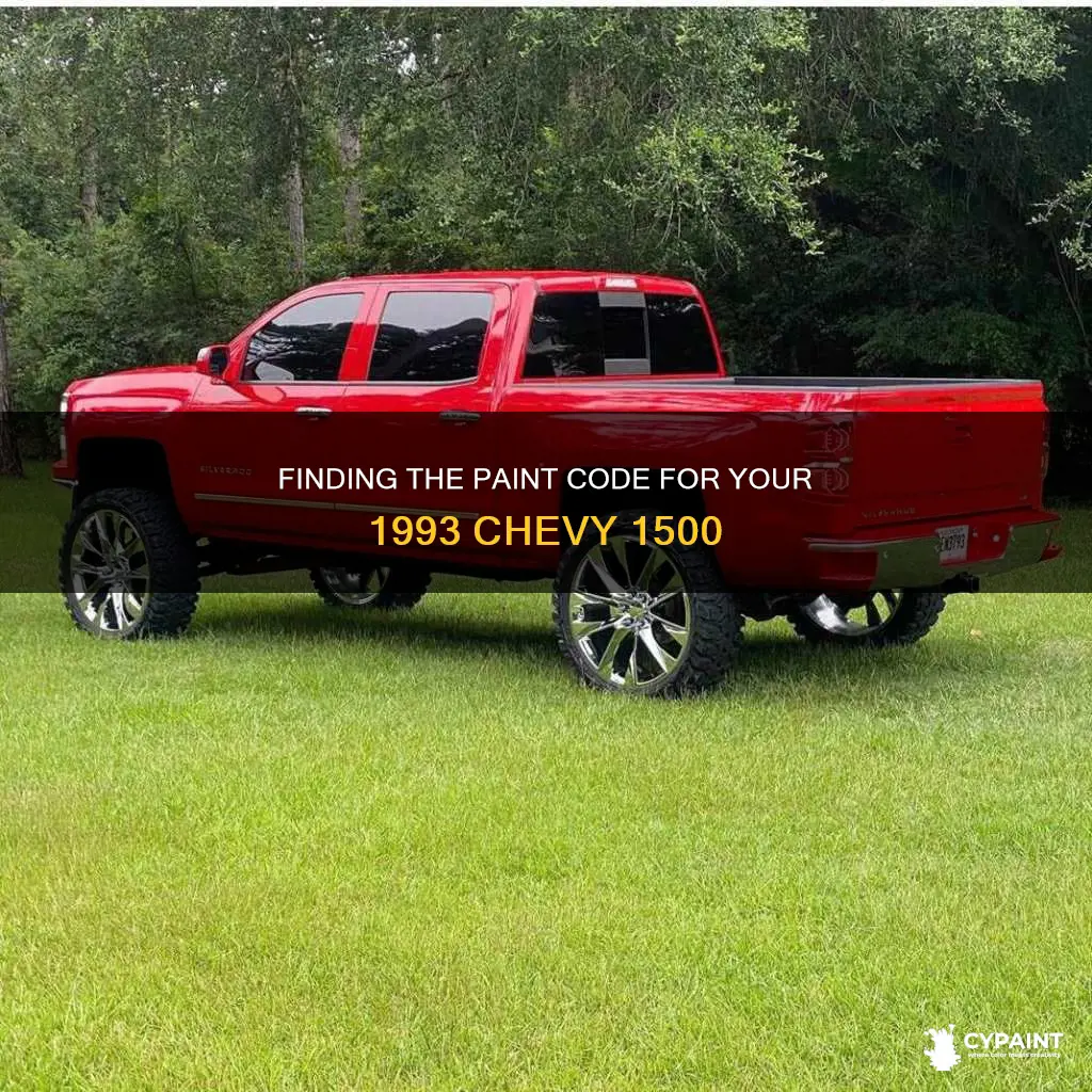 Finding The Paint Code For Your 1993 Chevy 1500 | CyPaint