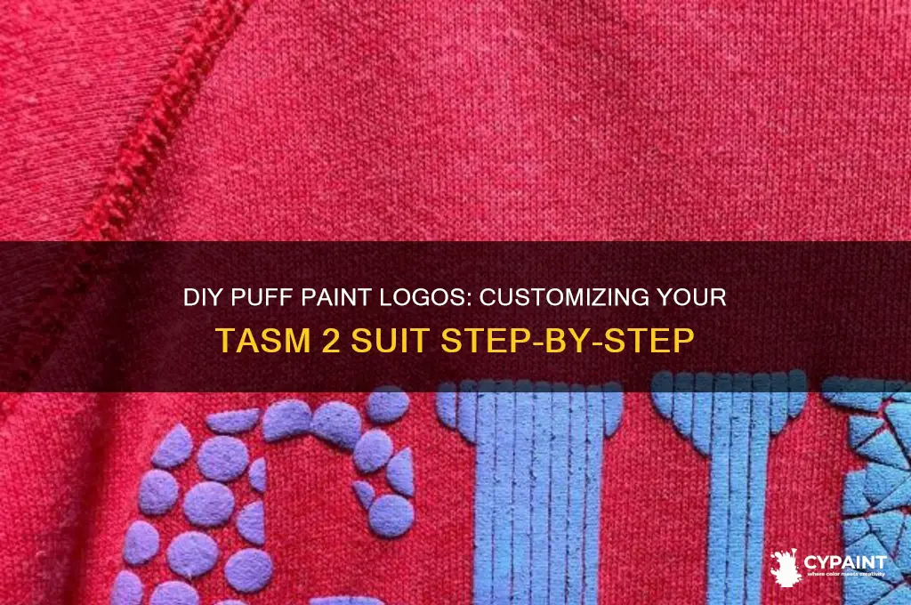 Diy Puff Paint Logos: Customizing Your Tasm 2 Suit Step-By-Step | CyPaint
