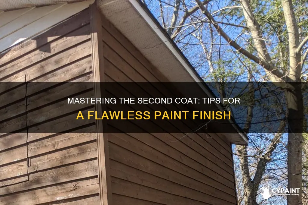 Mastering The Second Coat: Tips For A Flawless Paint Finish | CyPaint