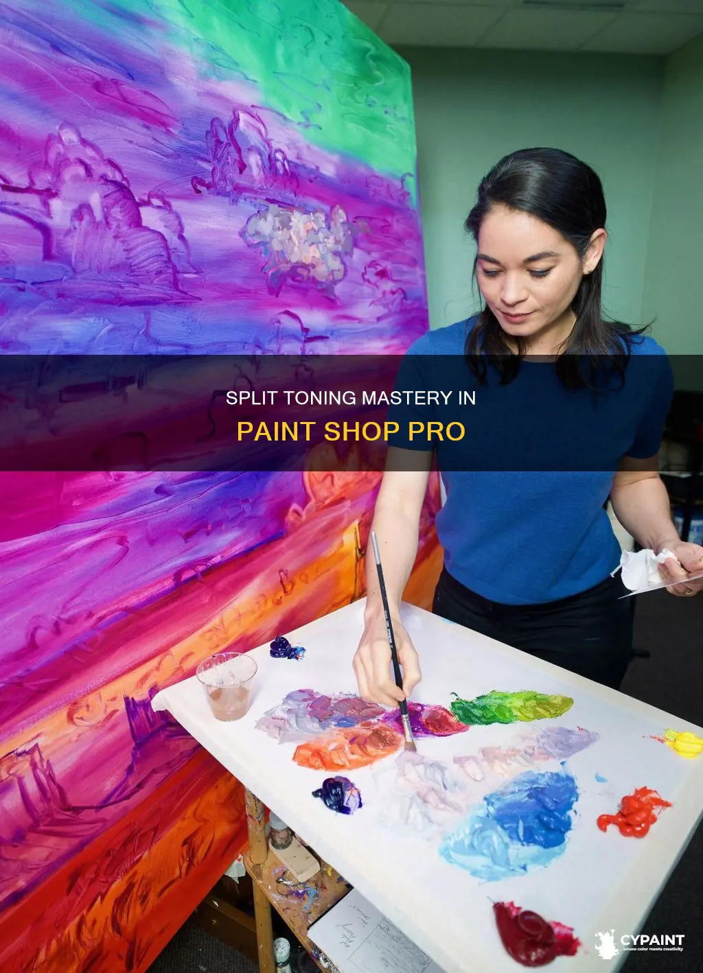 Split Toning Mastery In Paint Shop Pro | CyPaint