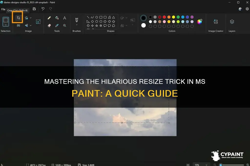 Mastering The Hilarious Resize Trick In Ms Paint: A Quick Guide | CyPaint