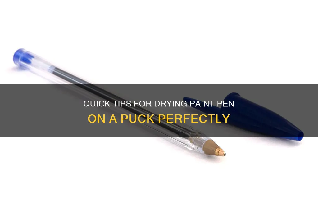 Quick Tips For Drying Paint Pen On A Puck Perfectly | CyPaint