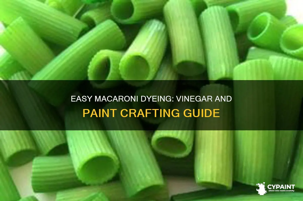 Easy Macaroni Dyeing: Vinegar And Paint Crafting Guide | CyPaint