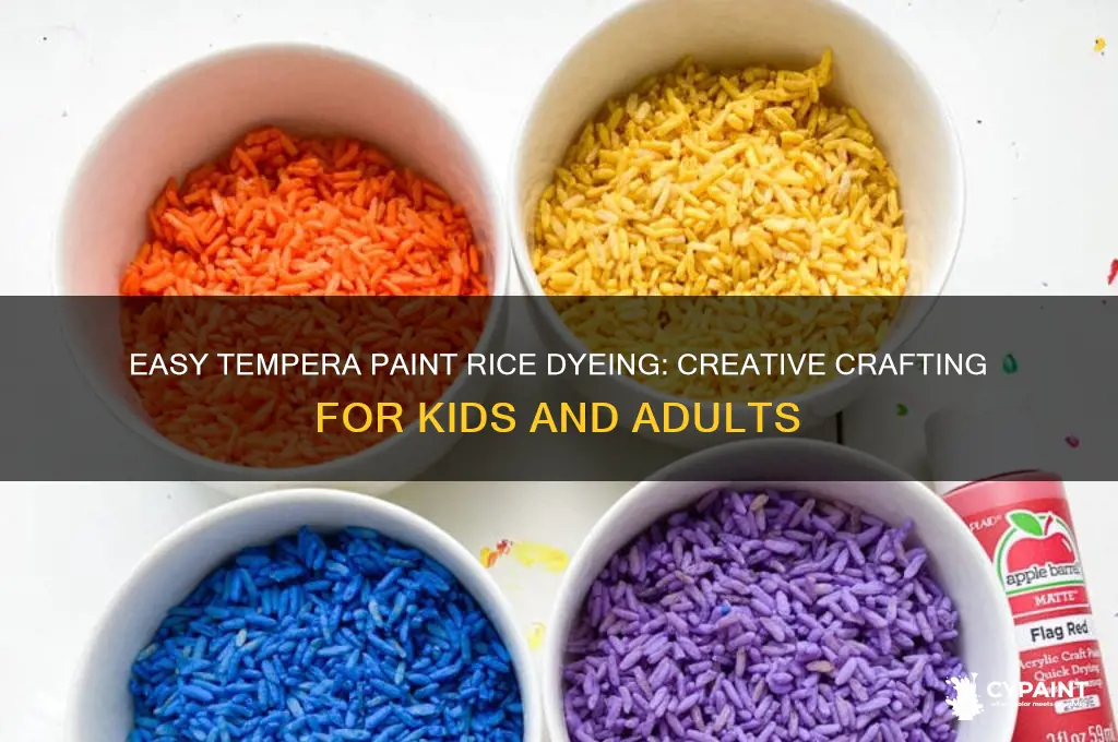 Easy Tempera Paint Rice Dyeing: Creative Crafting For Kids And Adults ...