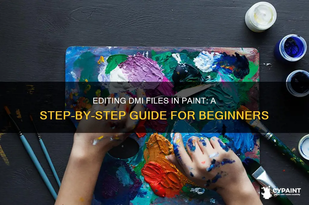 Editing Dmi Files In Paint: A Step-By-Step Guide For Beginners | CyPaint
