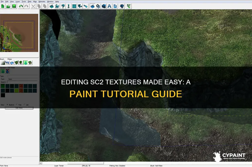 Editing Sc2 Textures Made Easy: A Paint Tutorial Guide | CyPaint