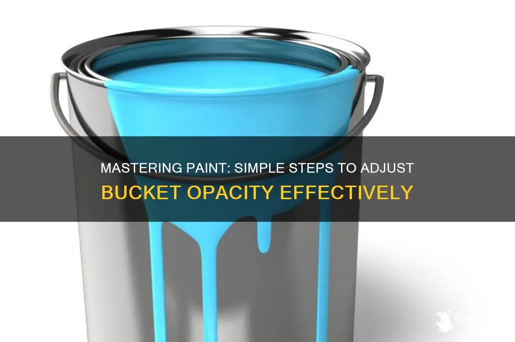 Mastering Paint: Simple Steps To Adjust Bucket Opacity Effectively ...