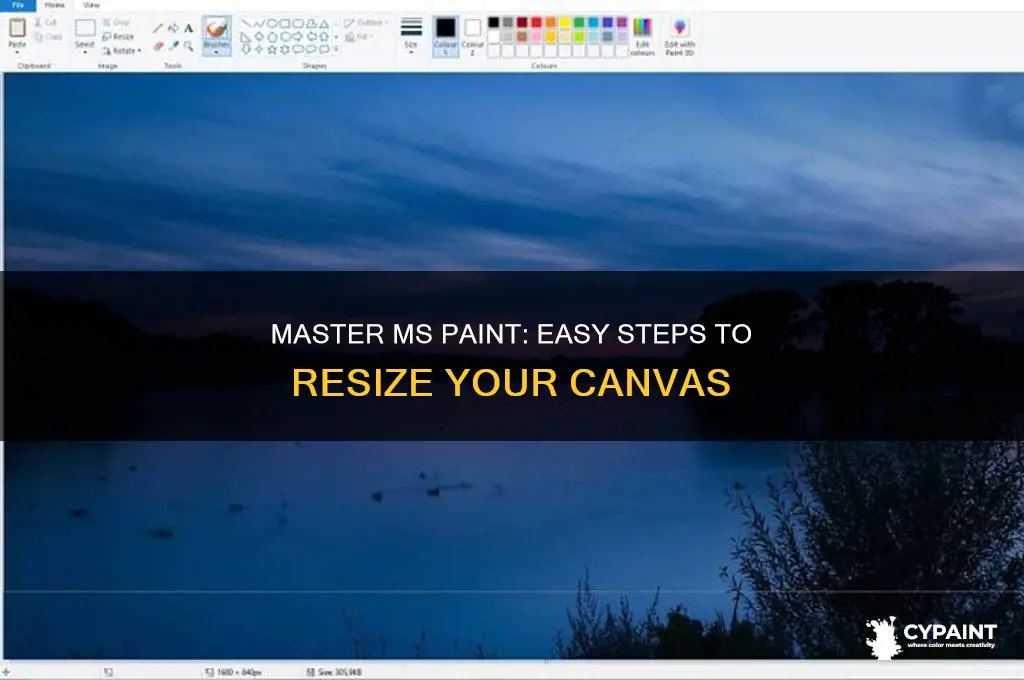 Master Ms Paint: Easy Steps To Resize Your Canvas | CyPaint